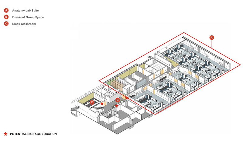 Explore the new Health Sciences Education Building